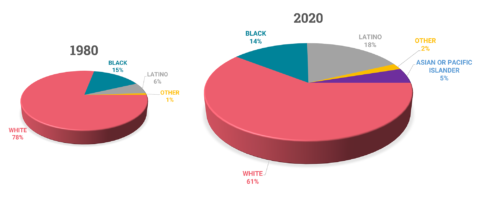 Illinois’s Diverse Population - Illinois Aging Together